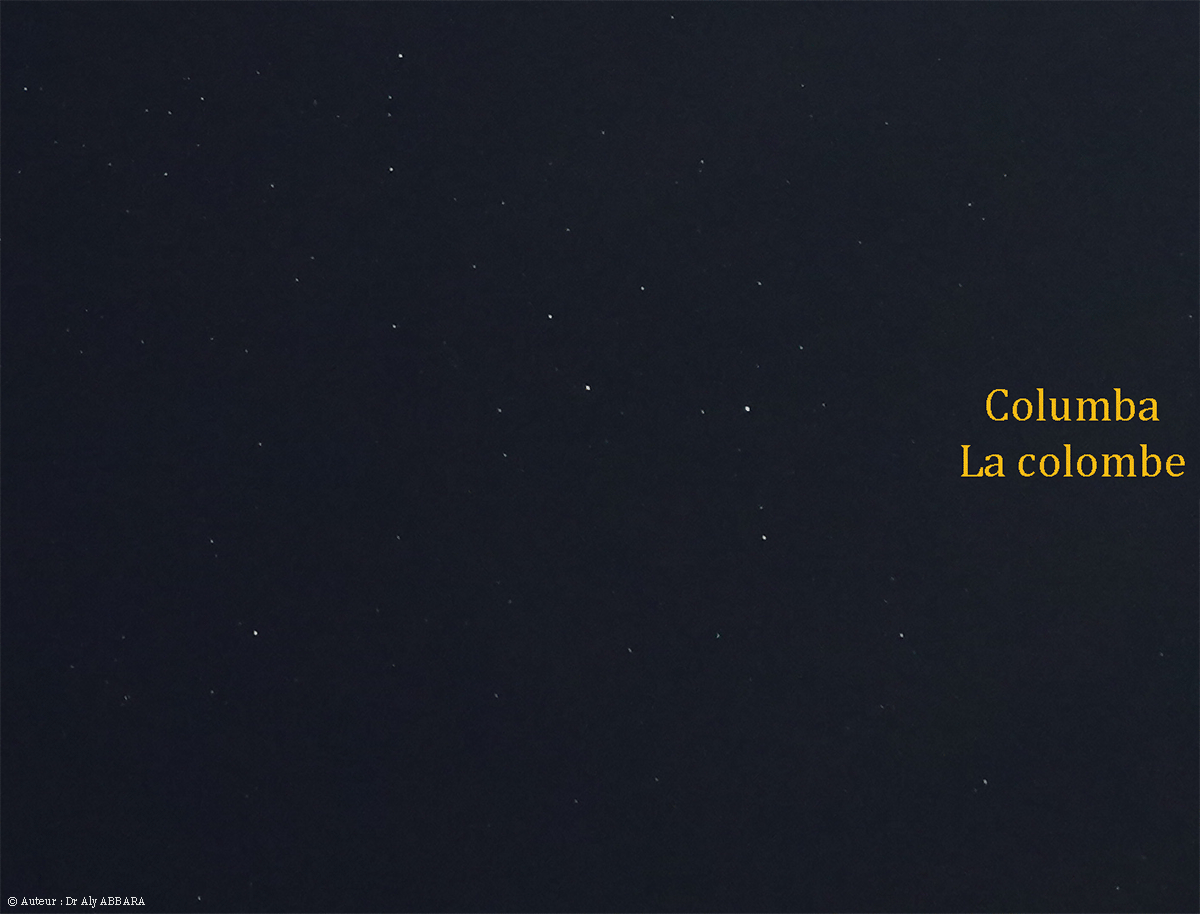 Constellation de La Colombe - Columba - (Columbae - Col) - Image prise ...